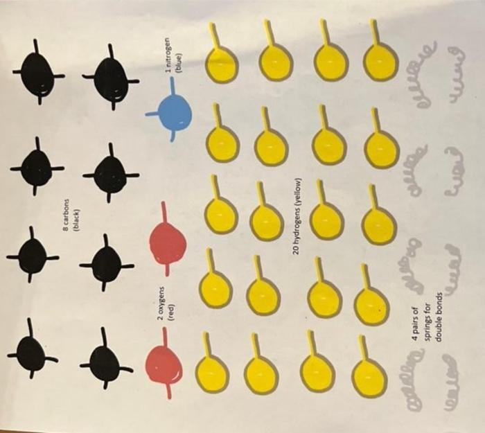 Solved 8. Use the paper model kit to create fwo isomers from | Chegg.com