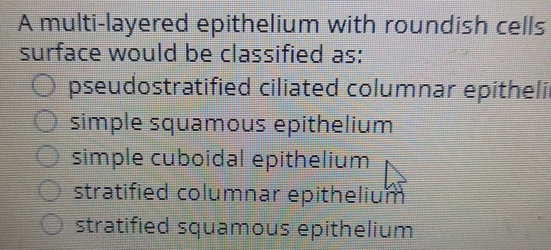 Solved A multi-layered epithelium with roundish cells | Chegg.com