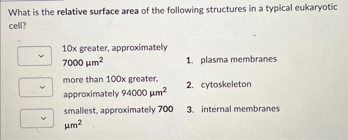 Solved What is the relative surface area of the following | Chegg.com
