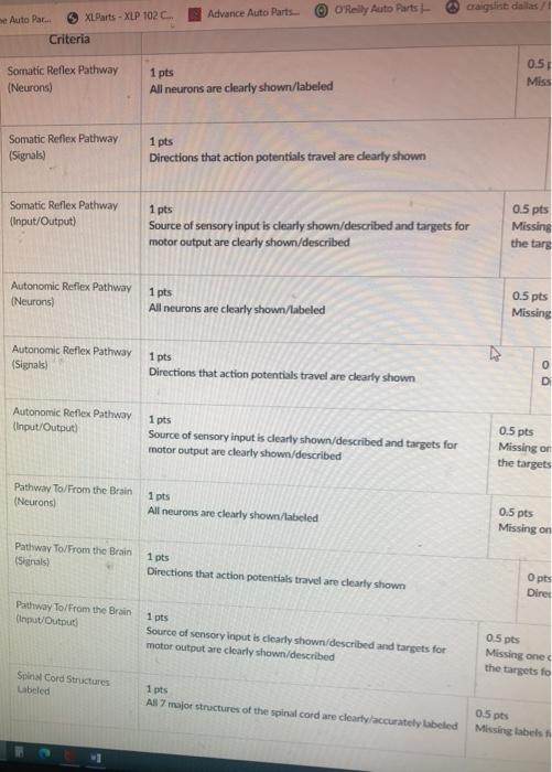 Solved Draw and label: the pathway of a somatic reflex. 2 | Chegg.com