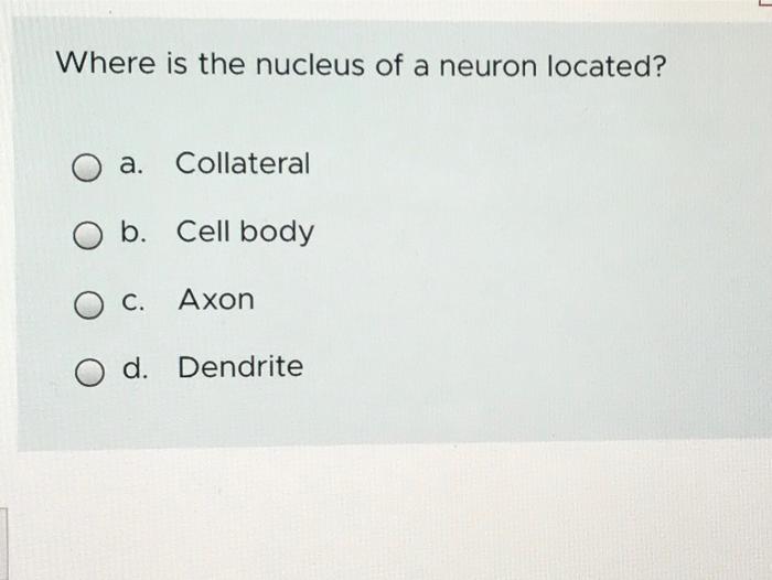 Solved Which of the following is an example of extrinsic | Chegg.com
