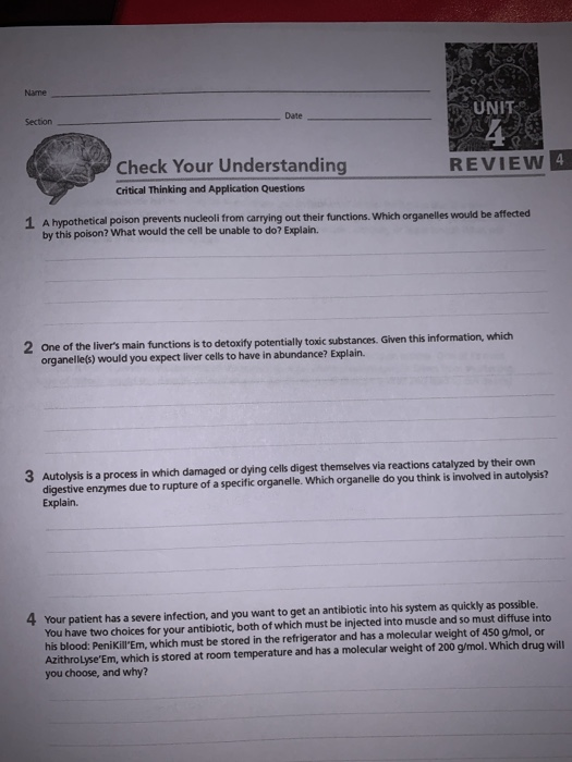 Solved Name UNIT Date Section REVIEW 4 Check Your | Chegg.com