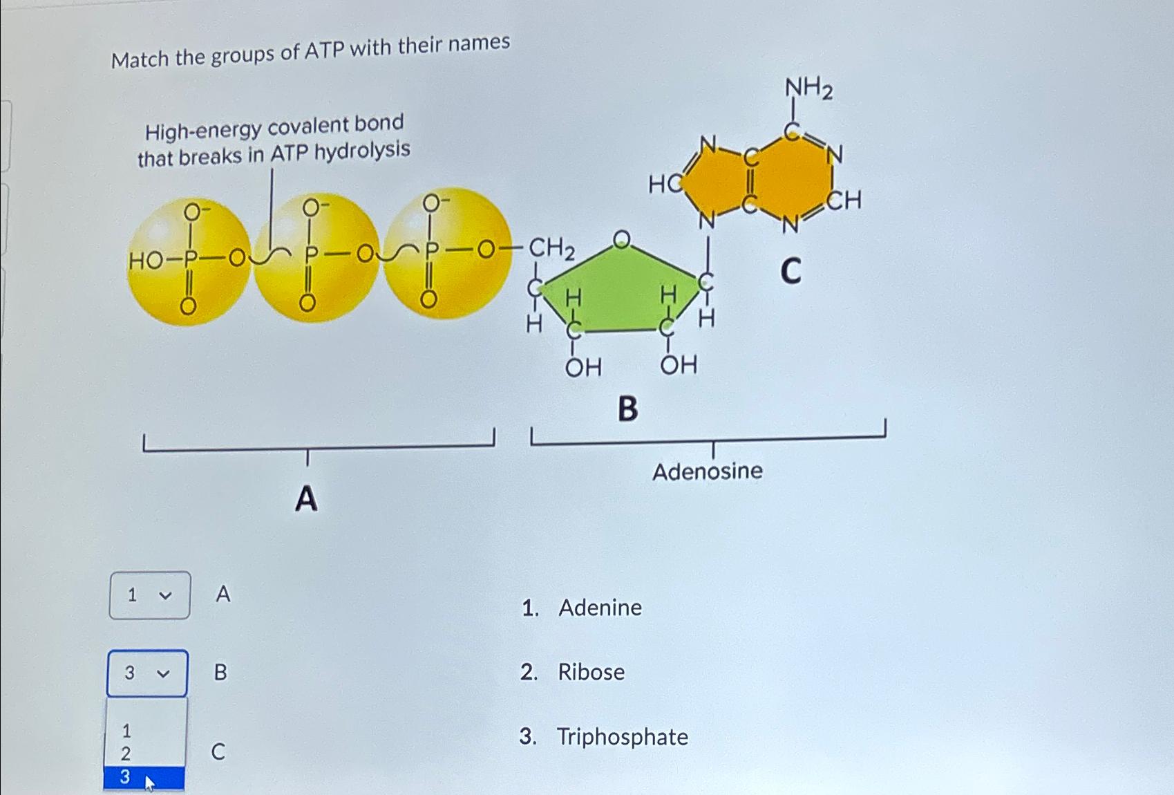 Solved Match the groups of ATP with their namesHigh-energy | Chegg.com