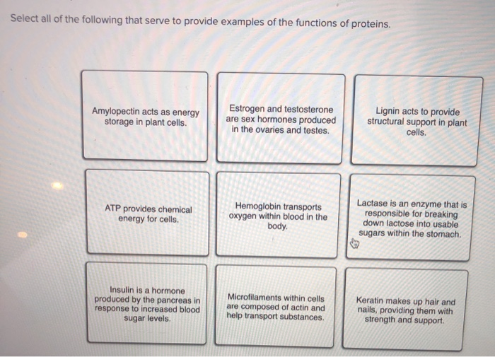 Solved Select all of the following that serve to provide | Chegg.com