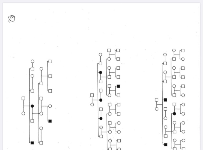 Solved Table 1-3 1. Mode of inheritance: Assume the trait is | Chegg.com