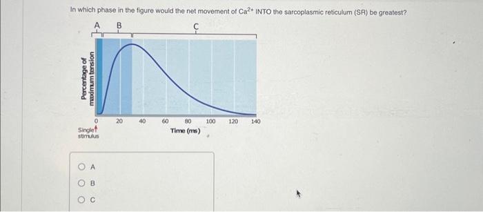 Solved In which phase in the figure would the net movement | Chegg.com