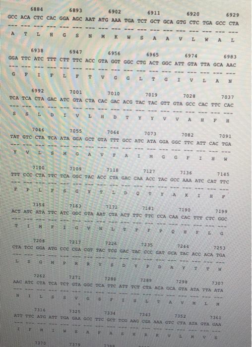 Solved Mitomap 2. What does the codon "AGA code for in the | Chegg.com