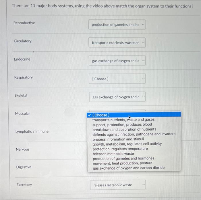 Solved There are 11 major body systems, using the video | Chegg.com