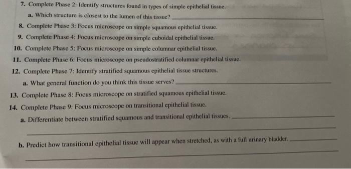 7. Complete Phase 2: Identify structures found in | Chegg.com