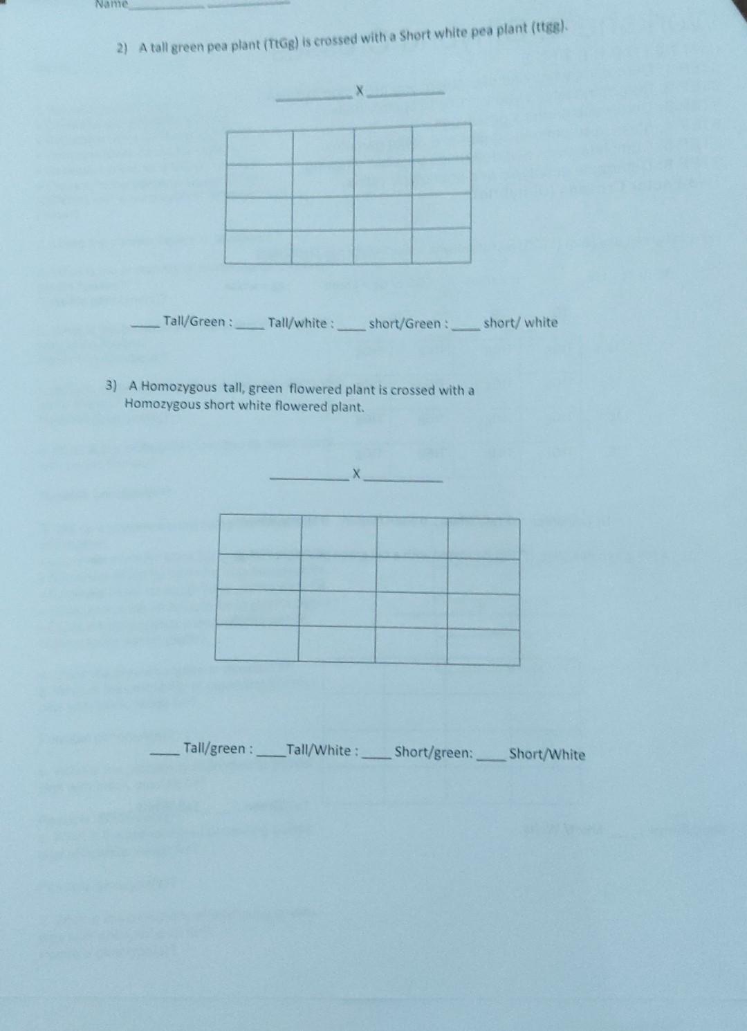 Solved Worksheet: Dihybrid Crosses UNIT 3: GENETIC S STEP 1: | Chegg.com