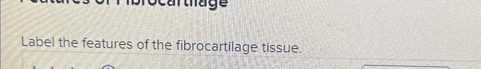 Solved Label the features of the fibrocartilage tissue. | Chegg.com