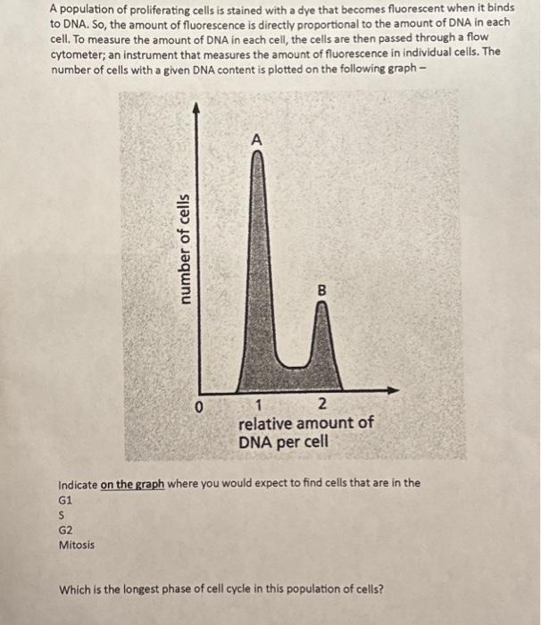 Solved A population of proliferating cells is stained with a | Chegg.com