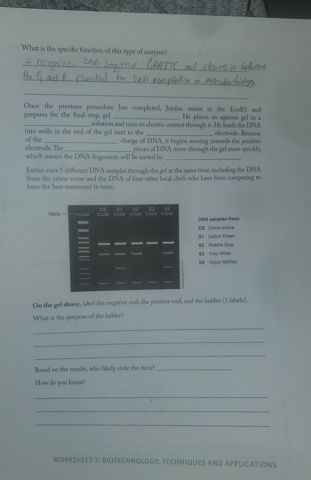 Solved What is the specific function of this type of | Chegg.com