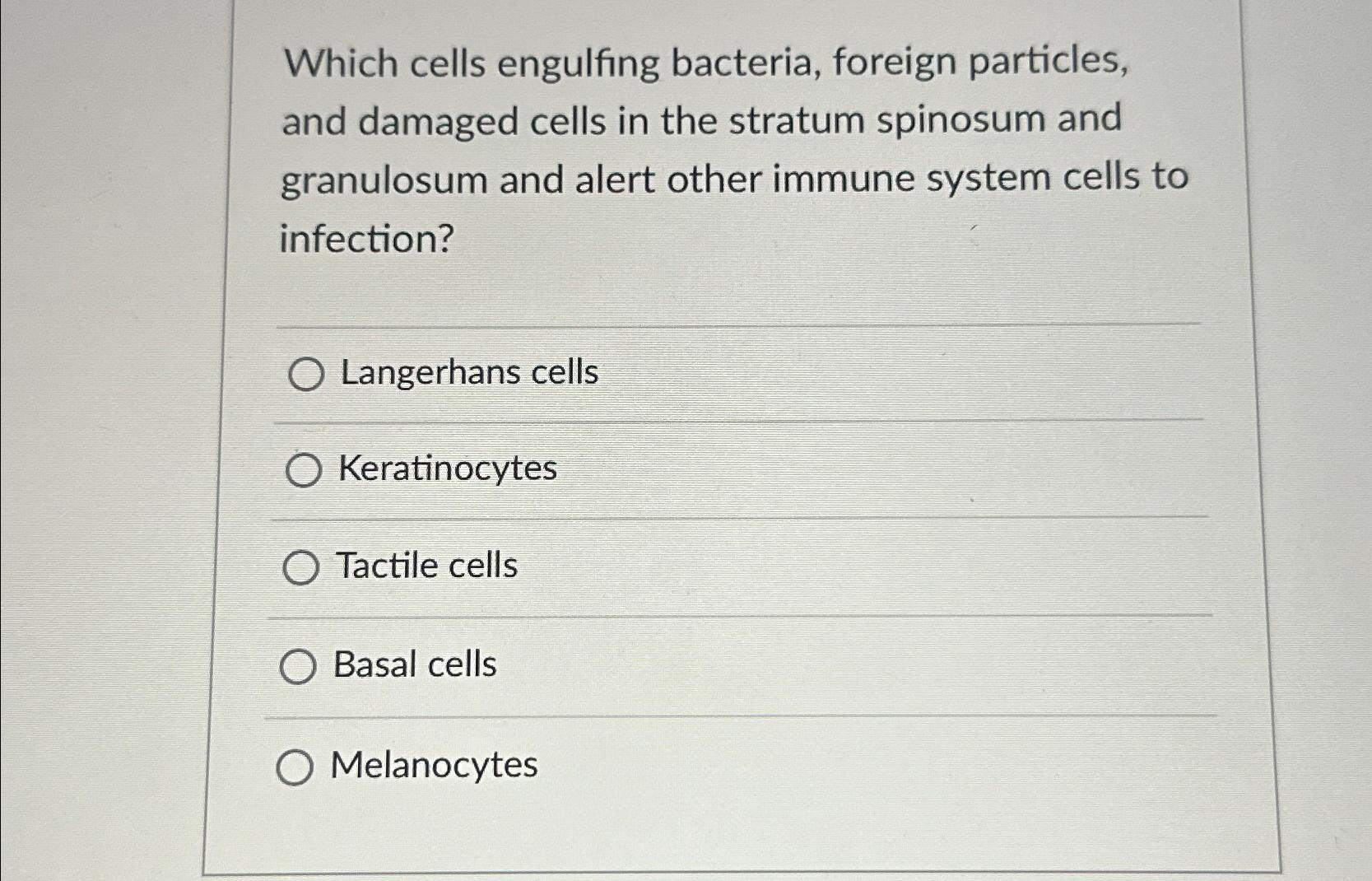 Solved Which cells engulfing bacteria, foreign particles, | Chegg.com