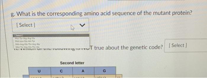 Solved The sequence of a COMPLETE hypothetical eukaryotic | Chegg.com