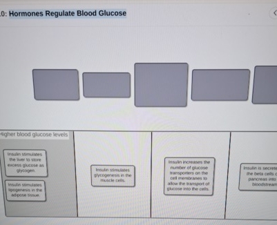 Solved 0: Hormones Regulate Blood Glucoseigher blood glucose | Chegg.com
