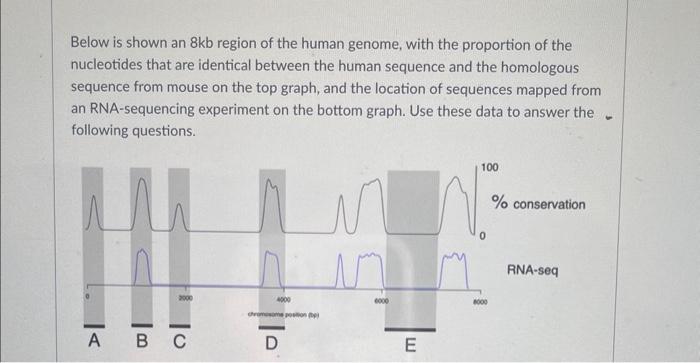 Solved Below is shown an 8 kb region of the human genome, | Chegg.com