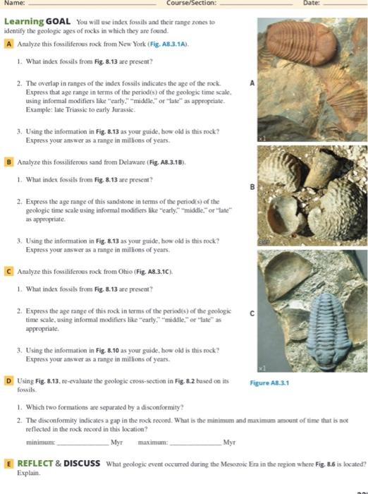 Solved Part IV: Fossils!!! You may want to look at the | Chegg.com