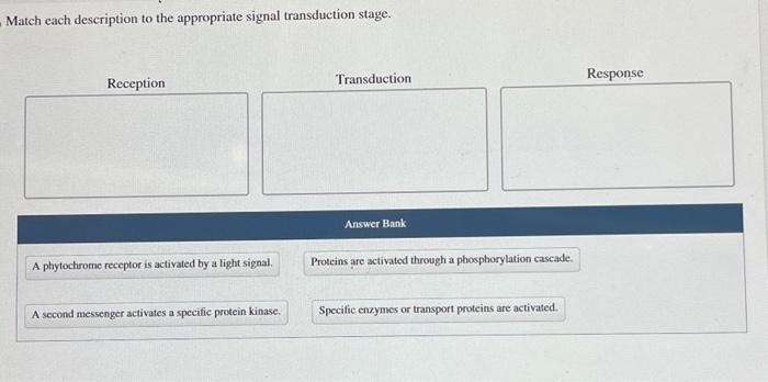 Solved Match each description to the appropriate signal | Chegg.com