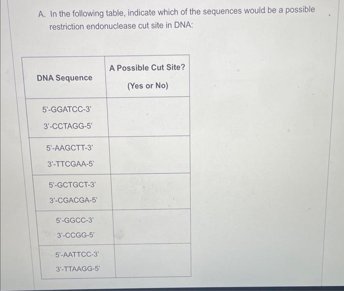 Solved Restriction Endonucleases Are Enzymes That Cut Double