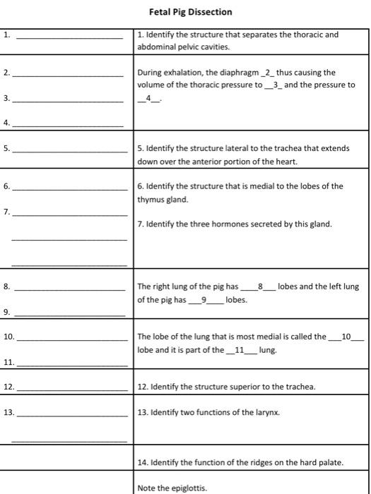 Solved Fetal Pig Dissection 1. 1. Identify the structure | Chegg.com