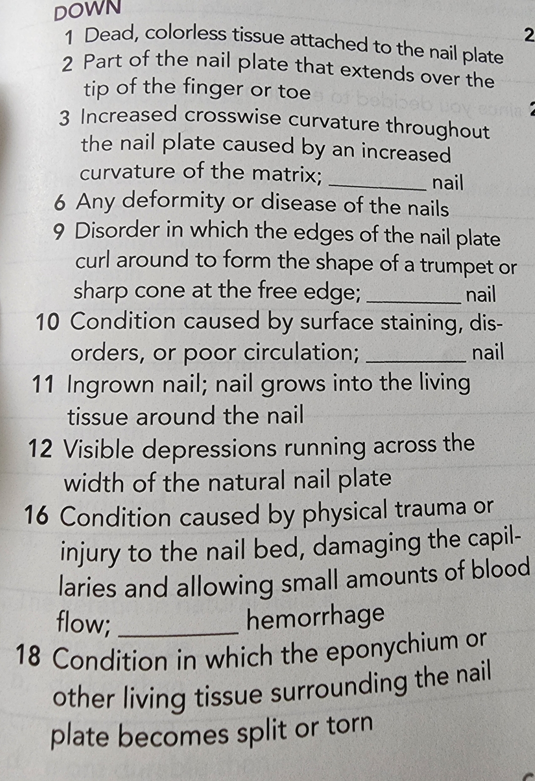 Solved DOWN1 ﻿Dead, colorless tissue attached to the nail | Chegg.com