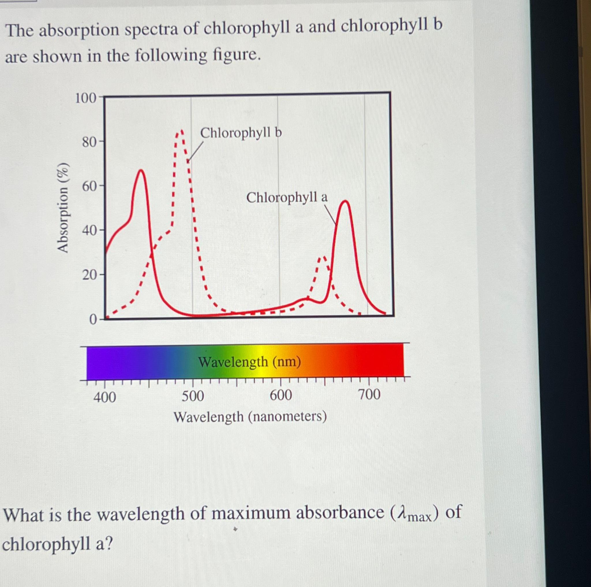 Solved The absorption spectra of chlorophyll a and | Chegg.com