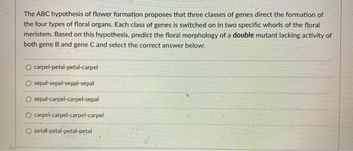 Solved The ABC hypothesis of flower formation proposes that | Chegg.com