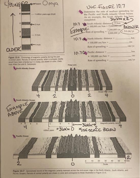 Solved YOUNGED Present Omya 1 million years ago mal о 2mya | Chegg.com