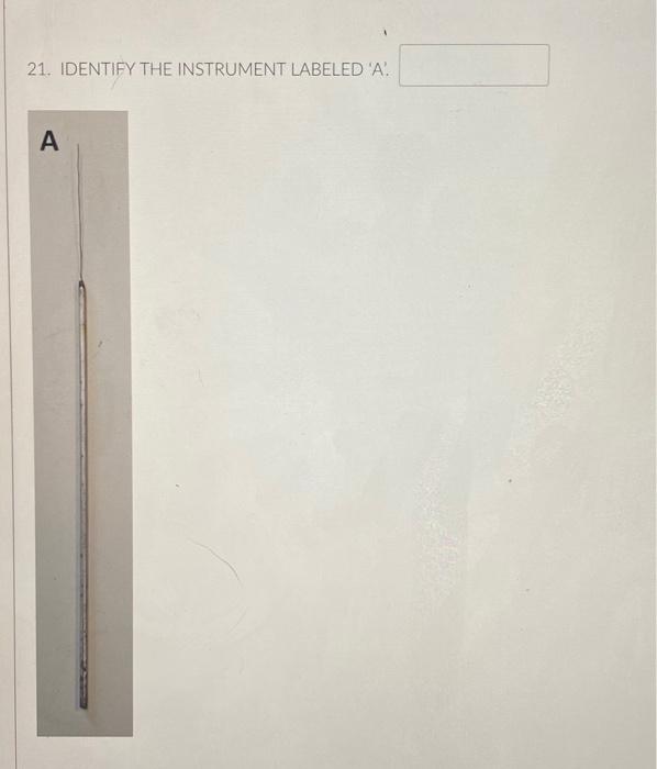 Solved 21. IDENTIFY THE INSTRUMENT LABELED 'A' A 21. | Chegg.com