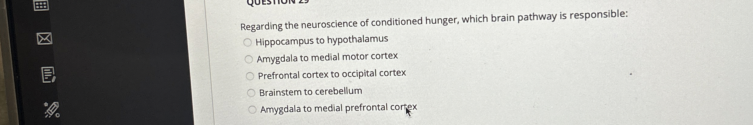 Solved Regarding the neuroscience of conditioned hunger, | Chegg.com