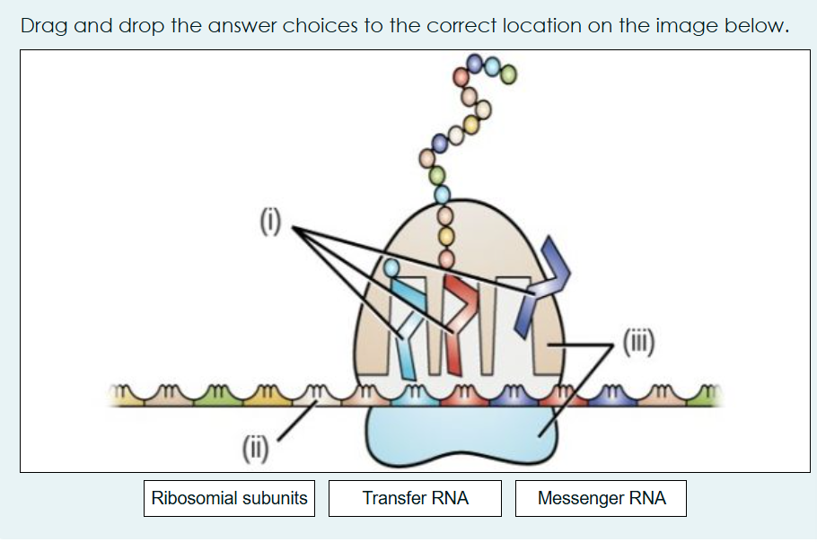 Solved Drag and drop the answer choices to the correct | Chegg.com