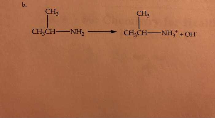 Solved CHZ CH3 CHỊCH NHỎ CH,CH—NH3+ + OH | Chegg.com