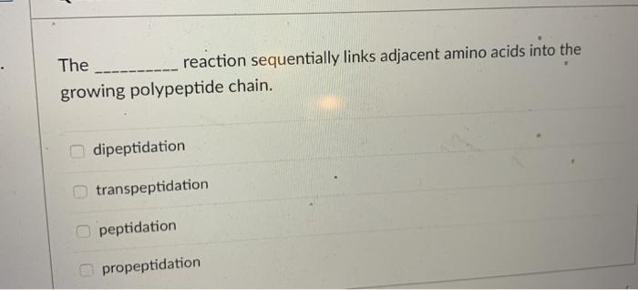 Solved The reaction sequentially links adjacent amino acids | Chegg.com