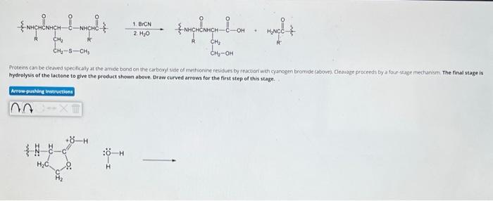 Solved 2H2O 1. BrCN hydrolysis of the lactone to give the | Chegg.com