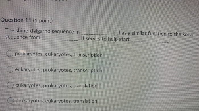 Solved Question 11 (1 point) The shine-dalgarno sequence in | Chegg.com