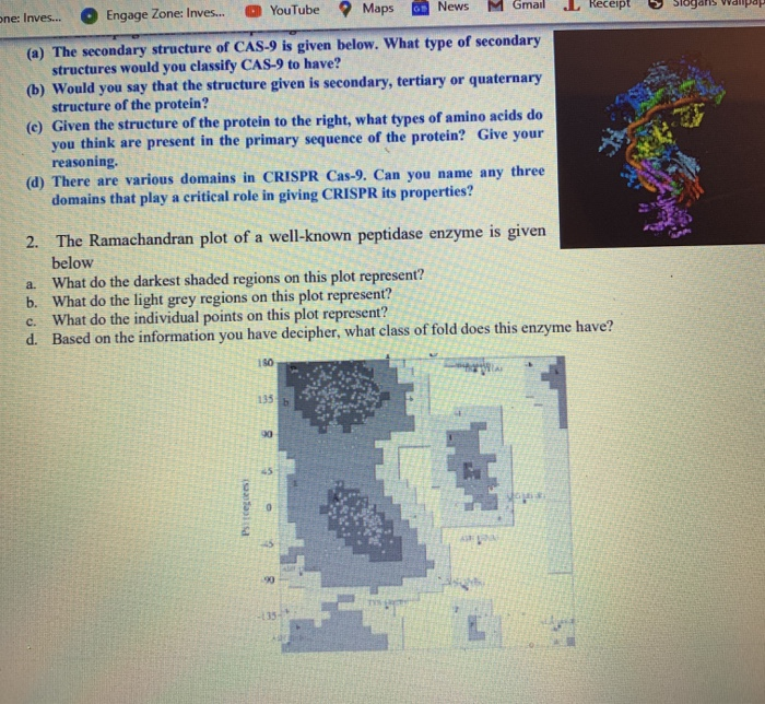 Solved 1. the secondary structure of CAS-9 is given below. | Chegg.com