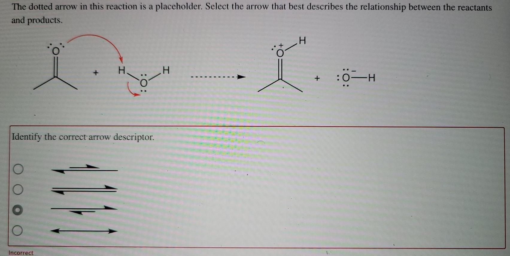 Solved The dotted arrow in this reaction is a placeholder. | Chegg.com