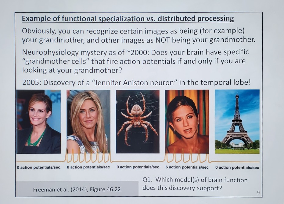 Example of functional specialization vs. distributed | Chegg.com