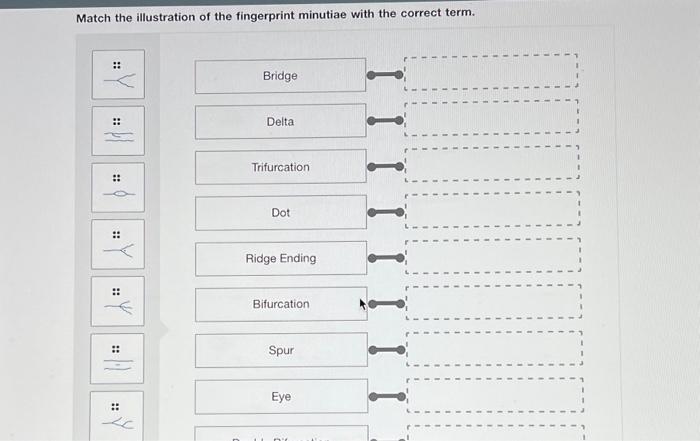 Solved Match the illustration of the fingerprint minutiae | Chegg.com