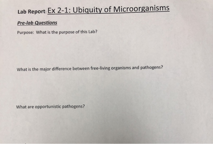 Solved Lab Report: Ex 2-1: Ubiquity of Microorganisms | Chegg.com