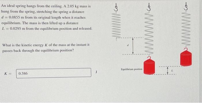 Solved An ideal spring hangs from the ceiling. A 2.05 kg | Chegg.com