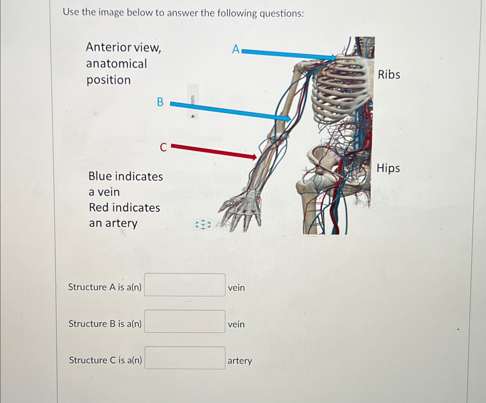Solved Use the image below to answer the following | Chegg.com