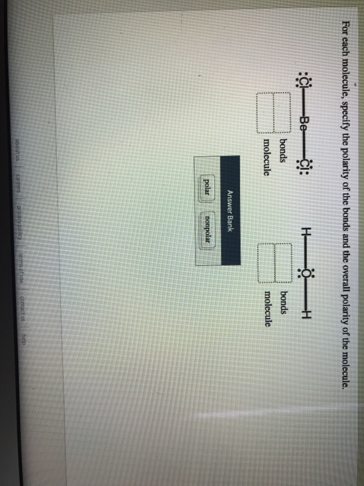 Solved ion 28 of 34 > The three-dimensional structure of a | Chegg.com