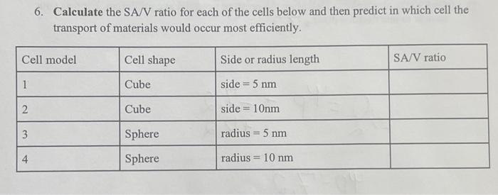 Solved 6. Calculate the SA/V ratio for each of the cells | Chegg.com