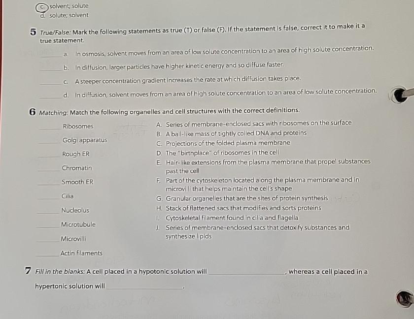 Solved (C.) ﻿solventisoluted. ﻿solute; solvent5 ﻿True/False: | Chegg.com