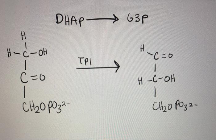 Solved DHAP G3P H 1 H-c-OH н. H-C=0 TPI CEO H-C-OH CH₂O poz | Chegg.com