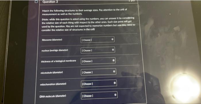Solved Match the following structures to their average | Chegg.com