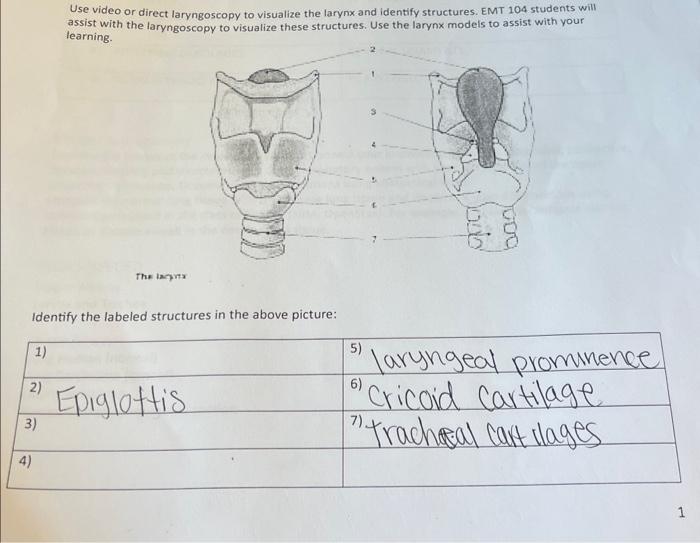 Solved Use video or direct laryngoscopy to visualize the | Chegg.com