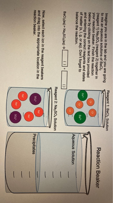 Solved Reagent 1: BaCl2 Solution Reaction Beaker Imagine you | Chegg.com